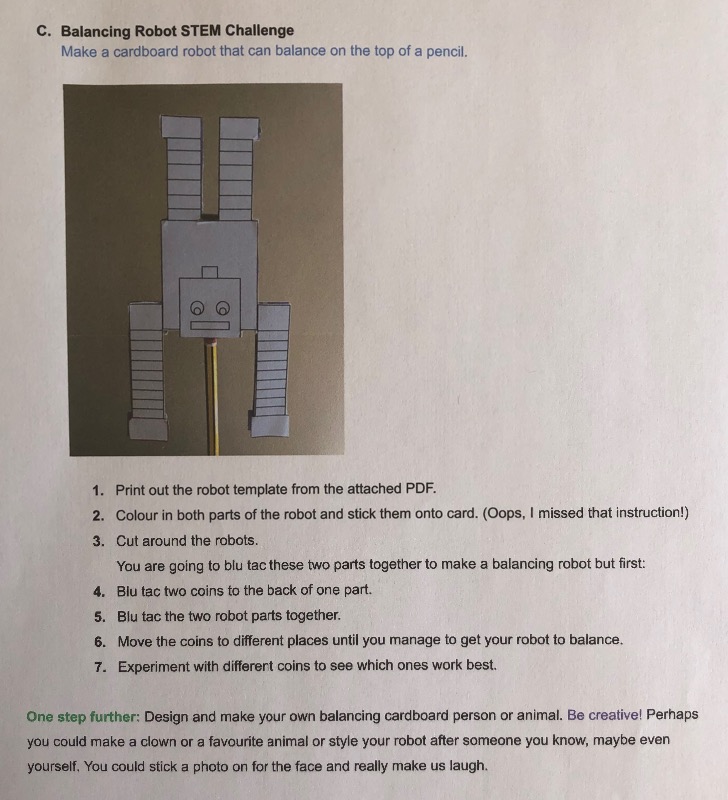Balancing Robots Stem Challenge